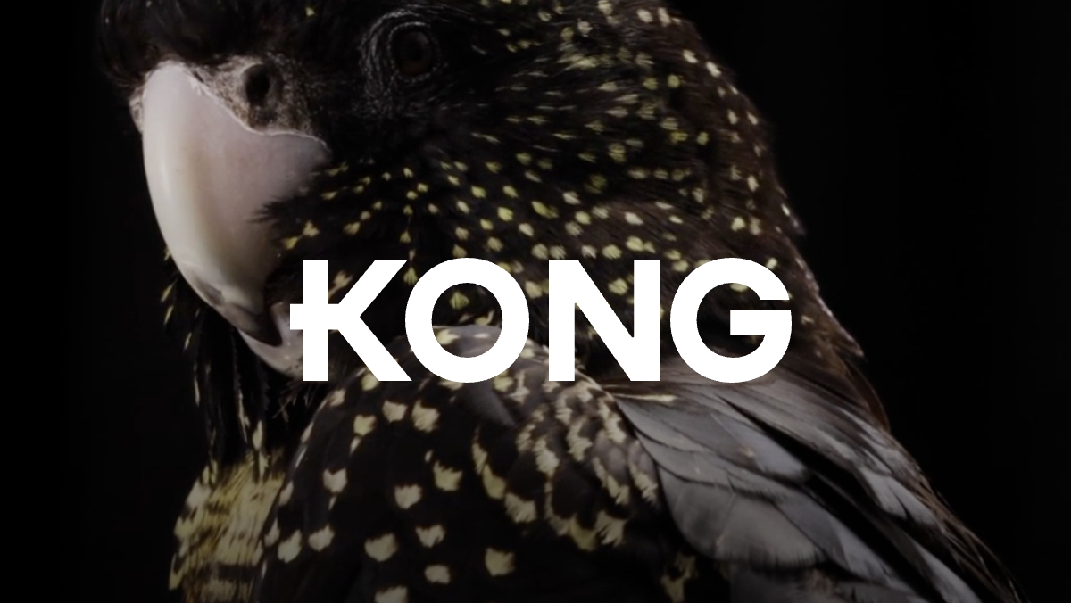 Studio | Kong